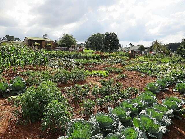 The Farm - Pasture Valley Farm & Children's Home